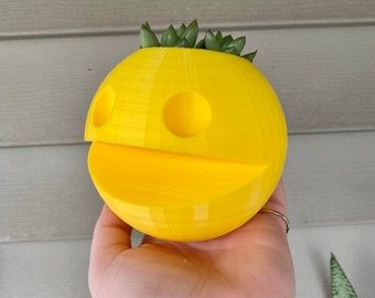 Pac-man Pacman Inky Blinky Pinky & Clyde Flower Succulent Pot Planter ...