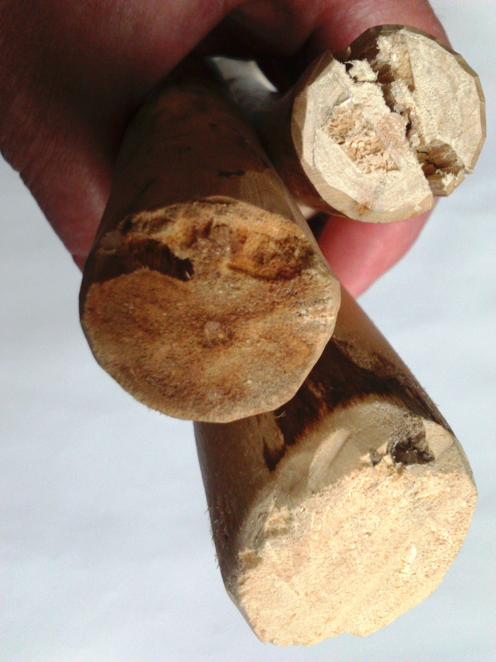 Long Macrame Sticks Ground Macrame Rods Dowel Macrame - Etsy