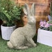 Stone Garden Large Traditional Hare Detailed Garden Ornament - Etsy UK
