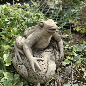 Stone Garden Frog on Lily Pad Gift Concrete Ornament | Etsy