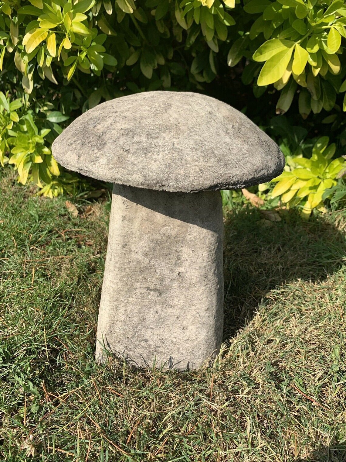 Stone Garden Traditional Large Toadstool Mushroom 2 Piece Concrete ...