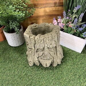Stone Garden Tree Green Man Planter Plant Pot Cute Ornament - Etsy
