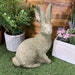 Stone Garden Large Traditional Hare Detailed Garden Ornament - Etsy UK