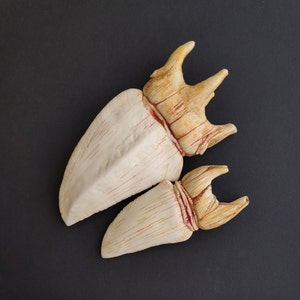 Dragon Tooth Sculpture, Witcher Accessories - Etsy