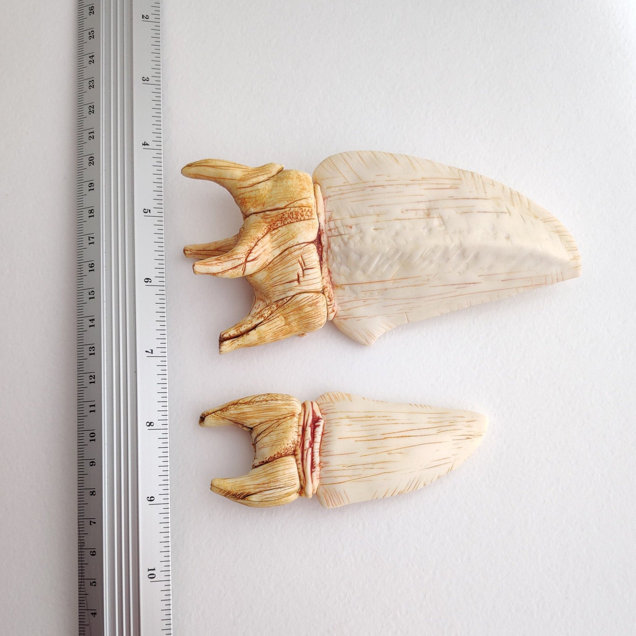 Dragon Tooth Sculpture Witcher Accessories - Etsy