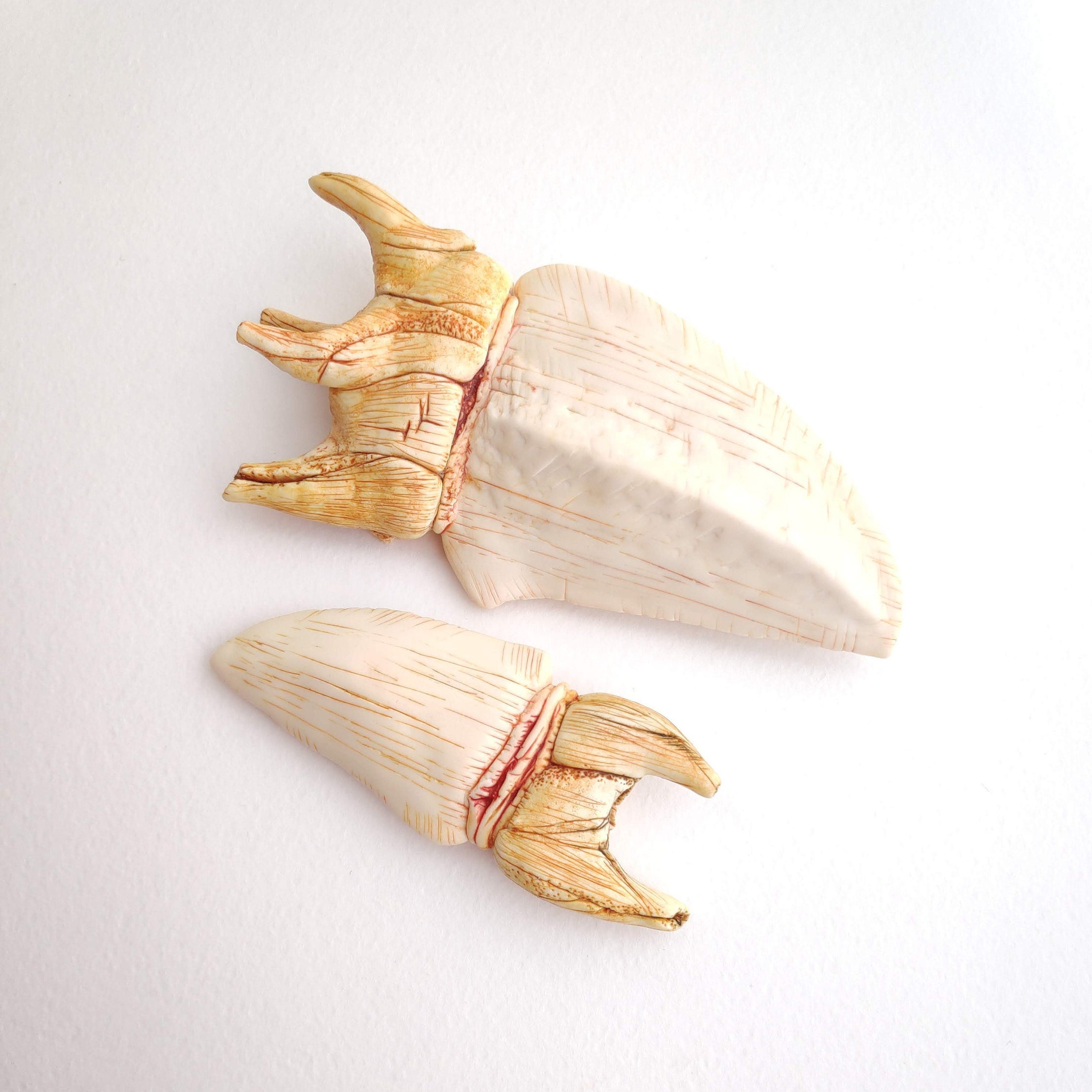 Dragon Tooth Sculpture Witcher Accessories - Etsy