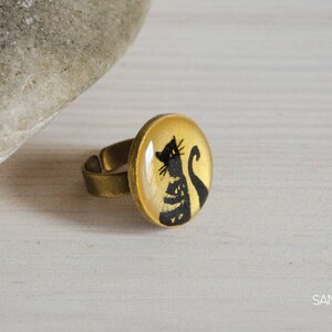 Bronze Round Ring on One Black Cat in Gold Background Theme, Hand ...
