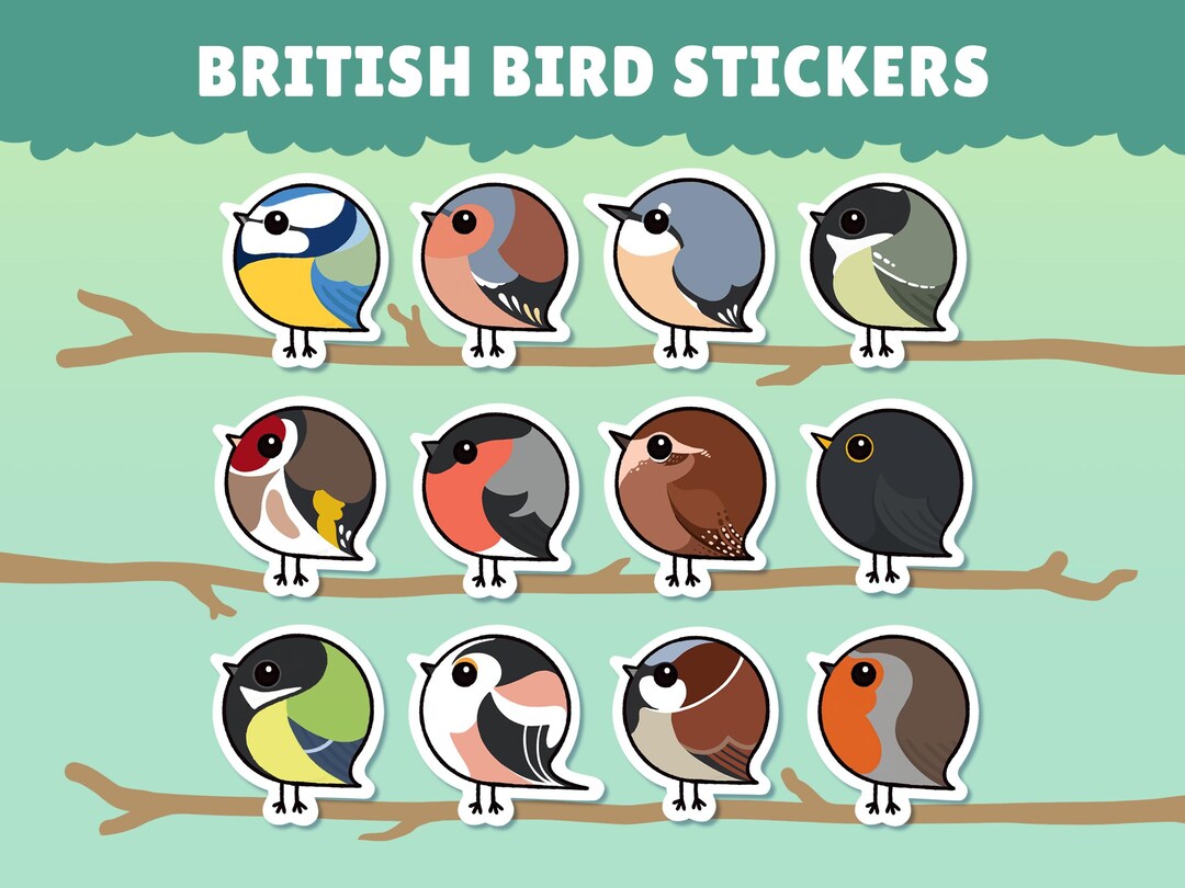 Cute Bird Vinyl Sticker Pack // Scrapbooking, Laptop Decal, Phone ...