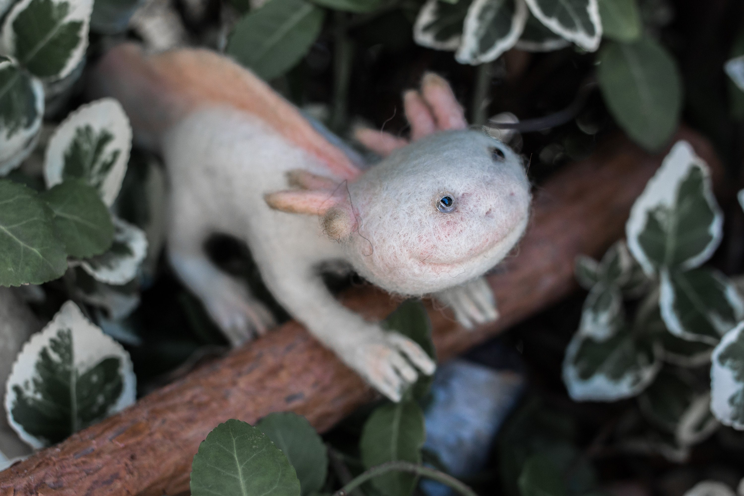 To Order Cute Axolotl Sculpture Figurine,needle Felted Triton Amphibian ...