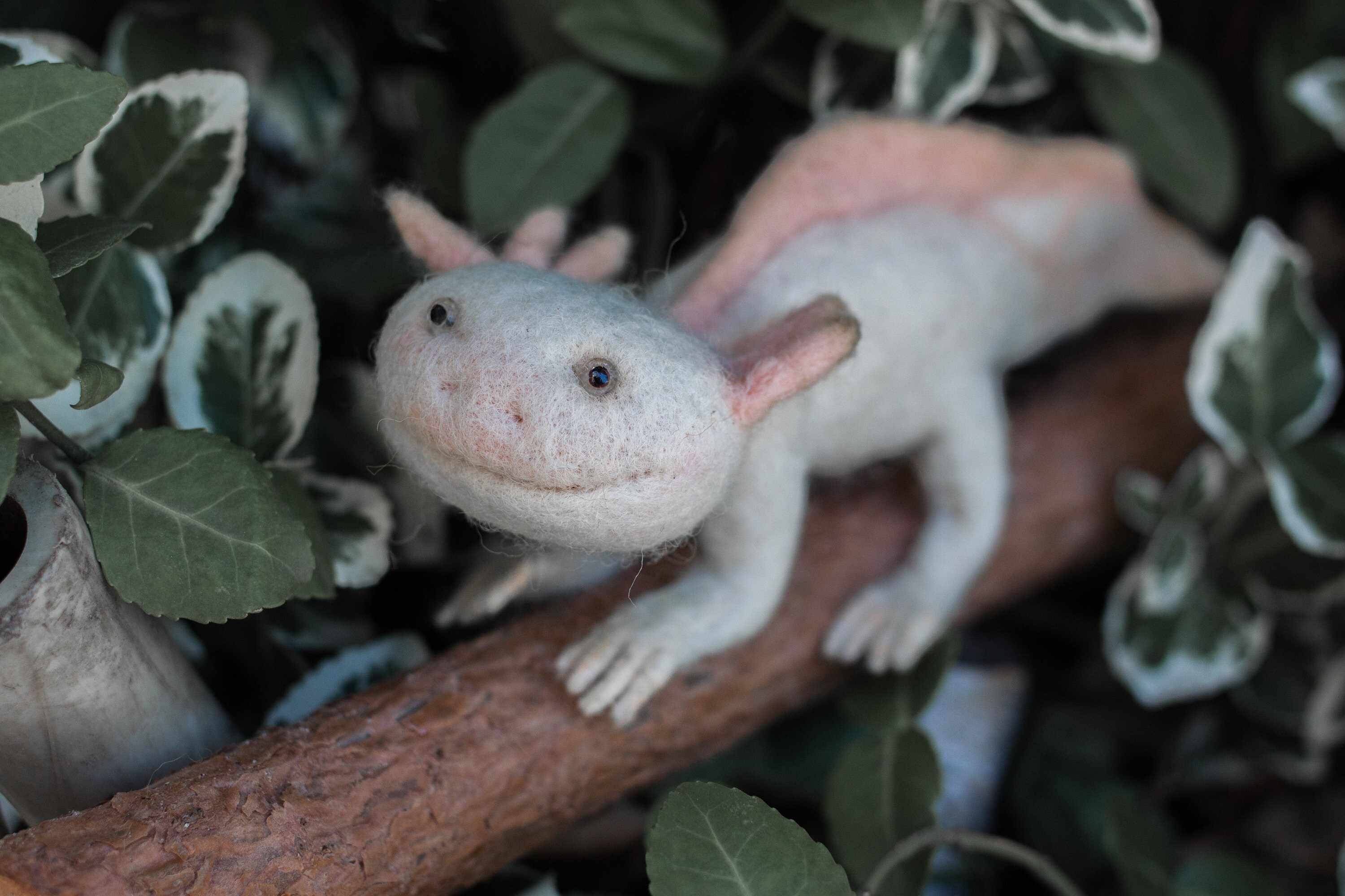 To Order Cute Axolotl Sculpture Figurine,needle Felted Triton Amphibian ...