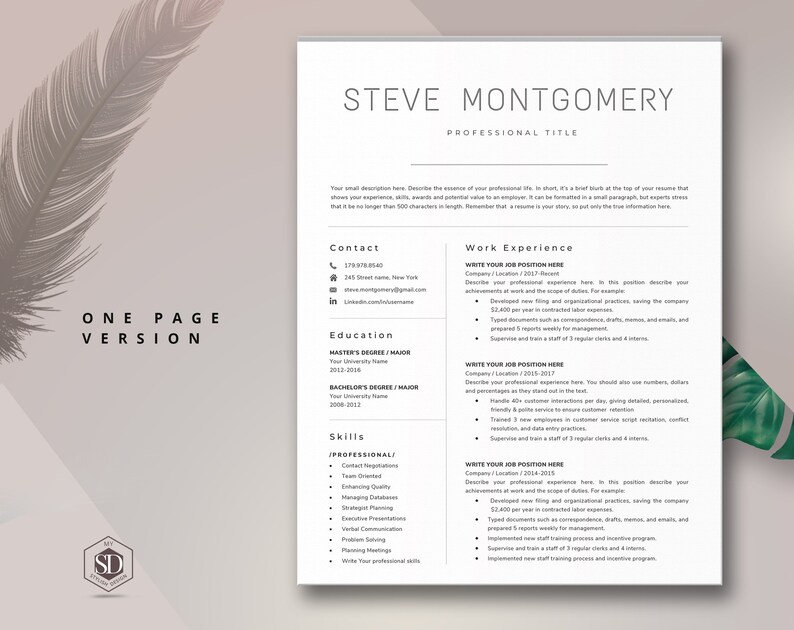Simple Resume Modern Professional Custom Basic Two Page Functional Two ...