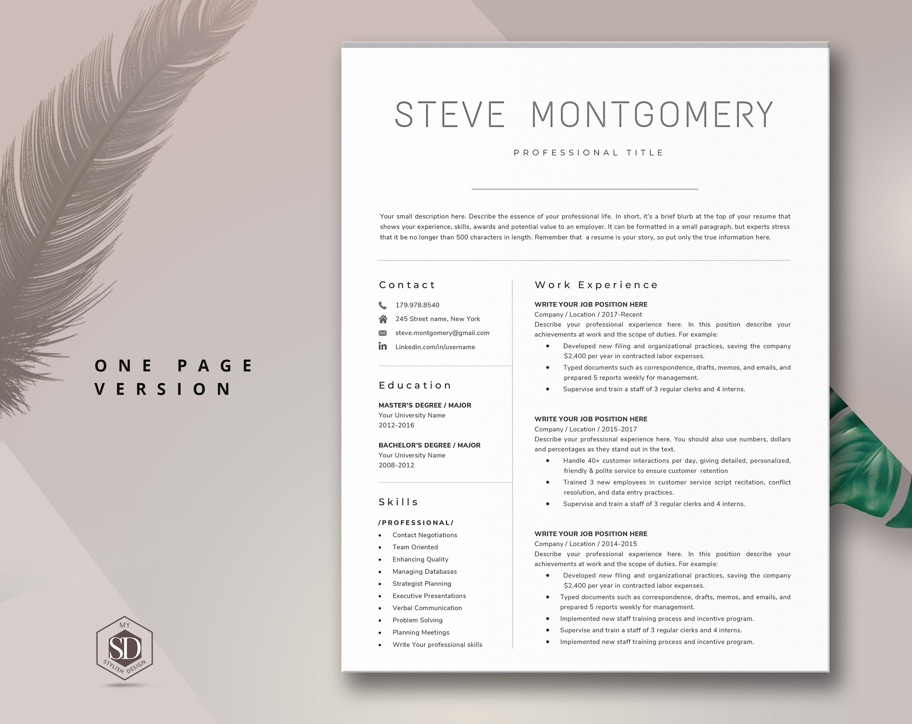 Simple Resume Modern Professional Custom Basic Two Page - Etsy