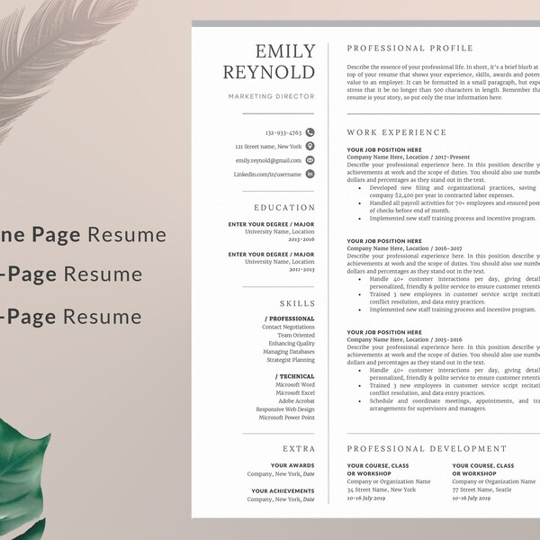 One Page Resume Template - Etsy