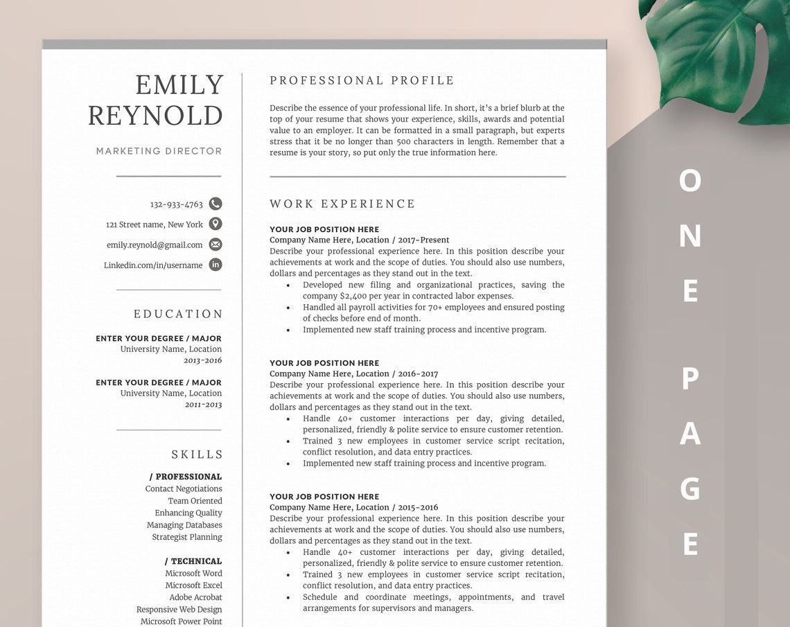 One Page Professional Resume CV Template Simple Resume Template 1 Page ...