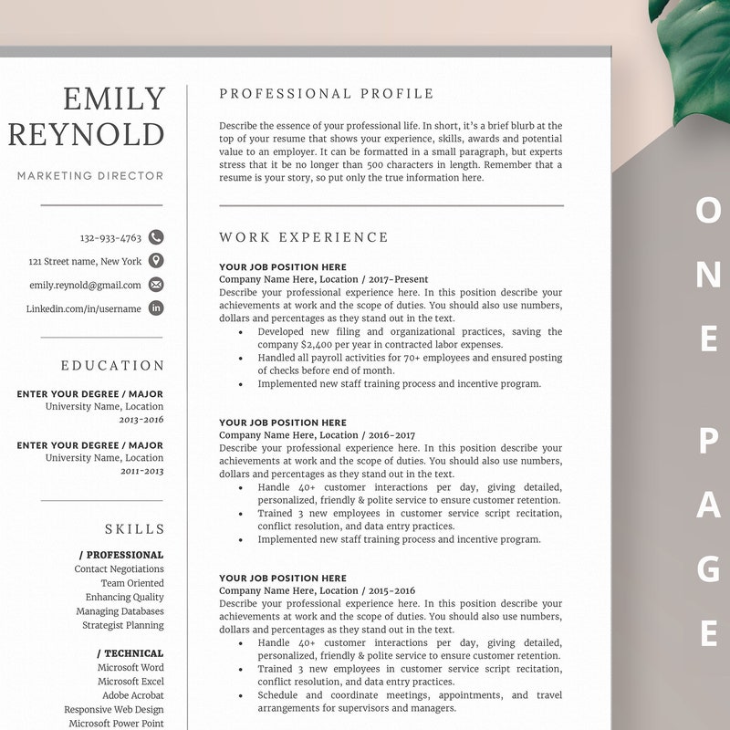 Clean Resume - Etsy