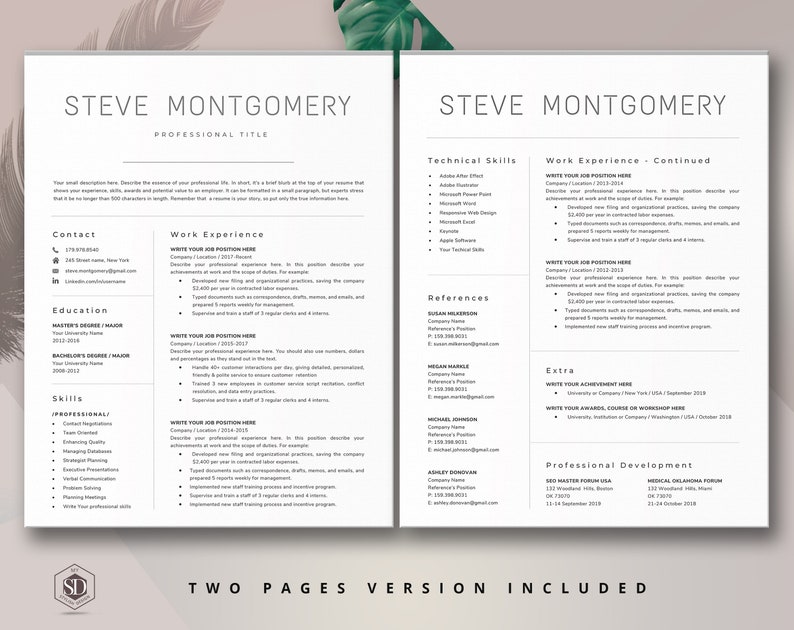 Simple Resume Modern Professional Custom Basic Two Page Functional Two ...