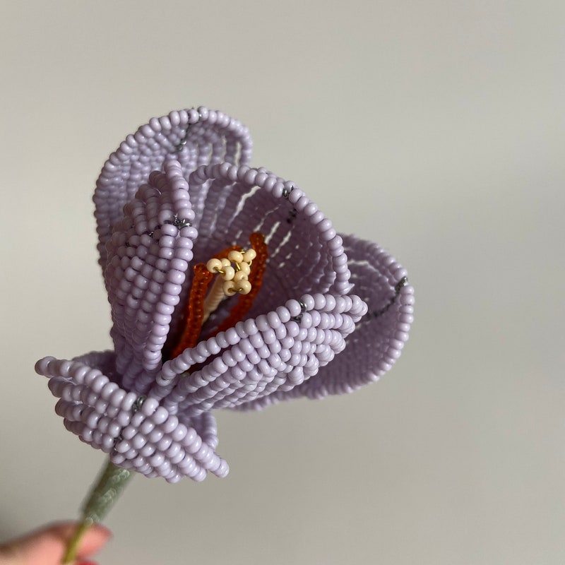 Purple Crocus - Etsy