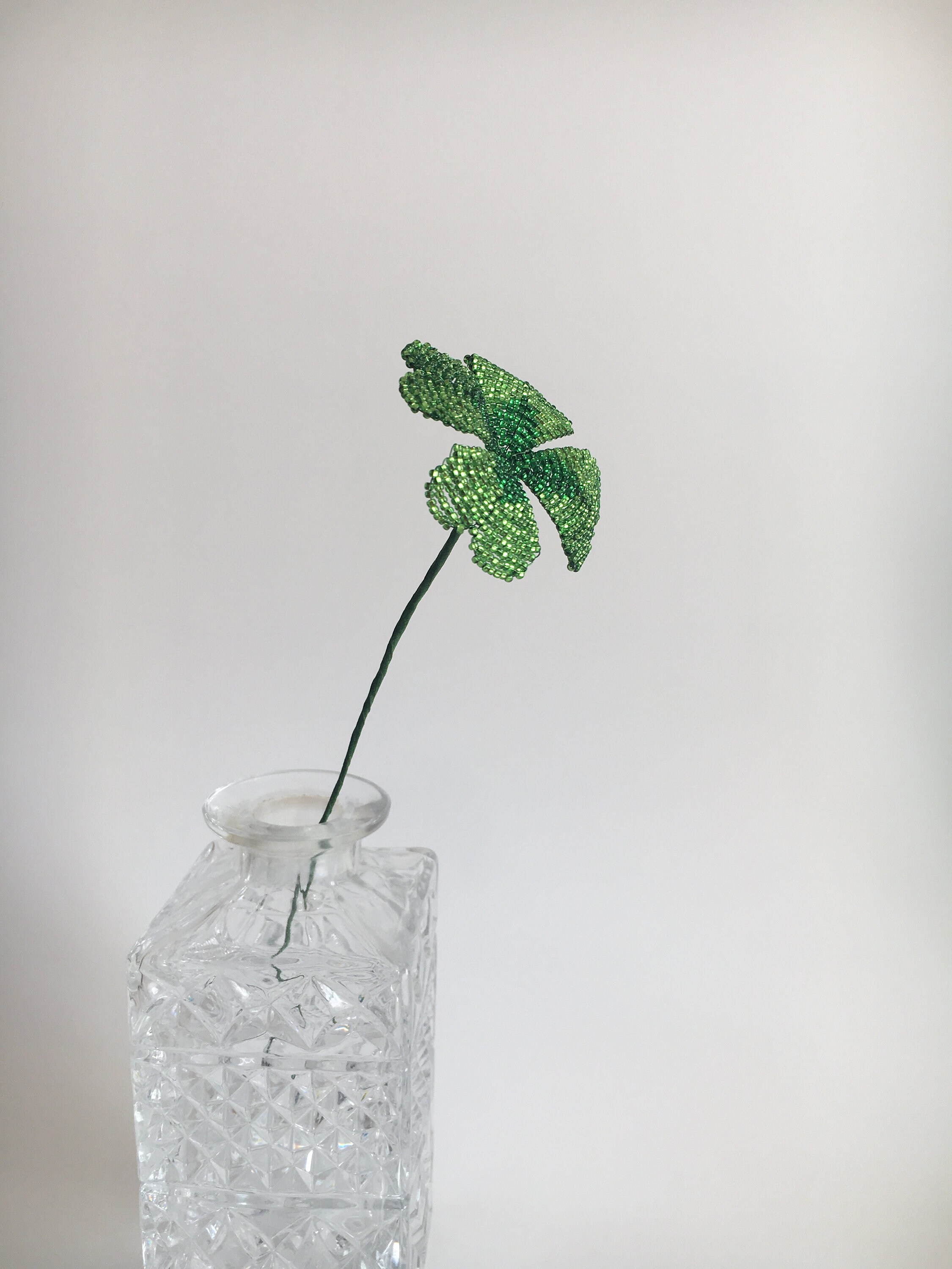 Minimalist decor Four leaf clover Greenery stems | Etsy