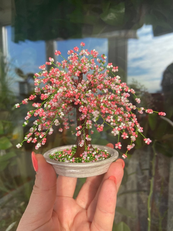 Cherry Bonsai Tree