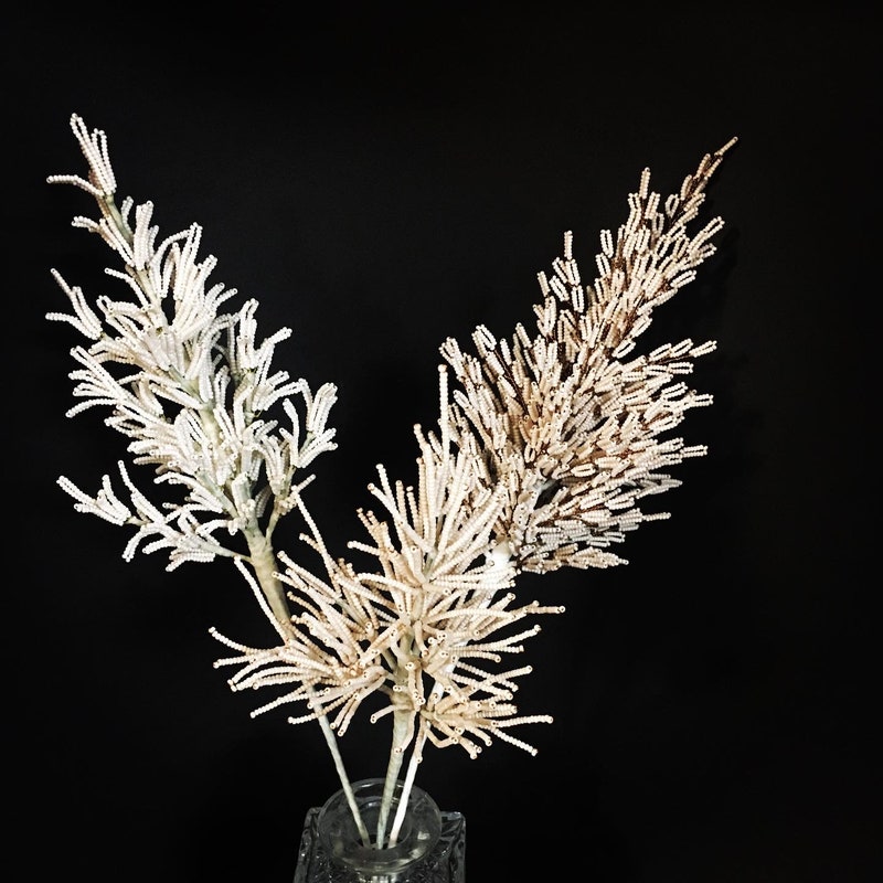 Pompous Grass - Etsy