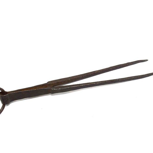 Antique Forceps - Etsy