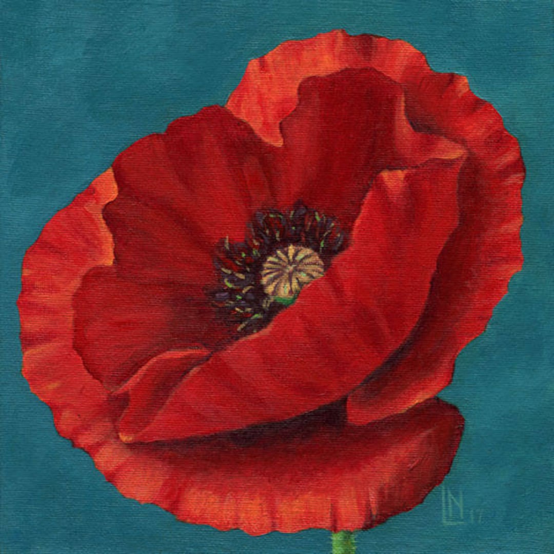 Red Poppy 8x8 Acrylic Painting - Etsy