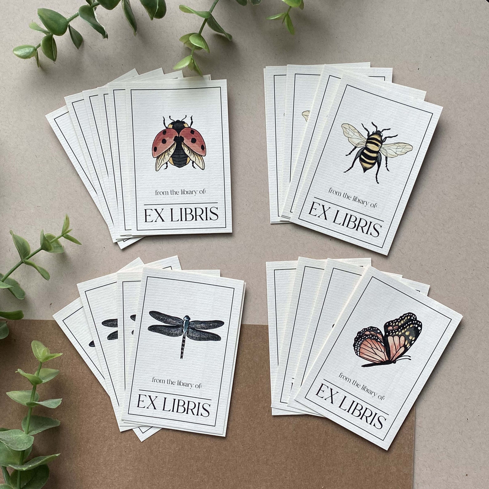 Dragonfly Bookplate, 2x3" Sticker Adhesive, 15 Count, Writable, Gift ...
