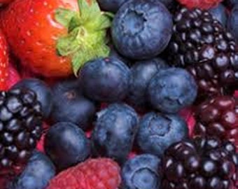 Twigs and berries | Etsy