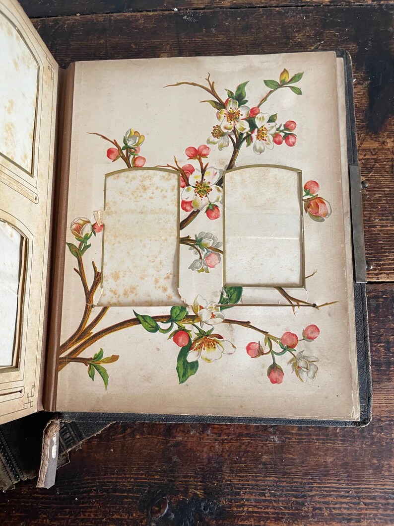 Victorian Photo Album, With Beautiful Floral Illustrations See All ...