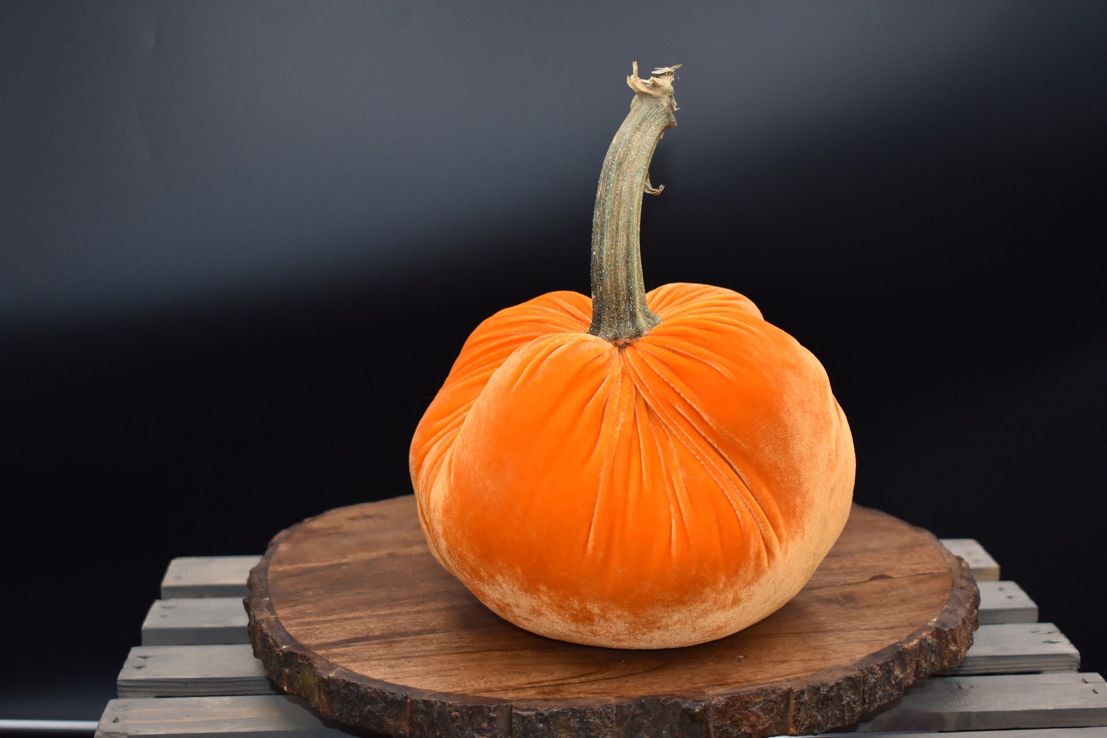 Velvet Pumpkins Medium -cutiekins, With Real Pumpkin Stem. Fall ...