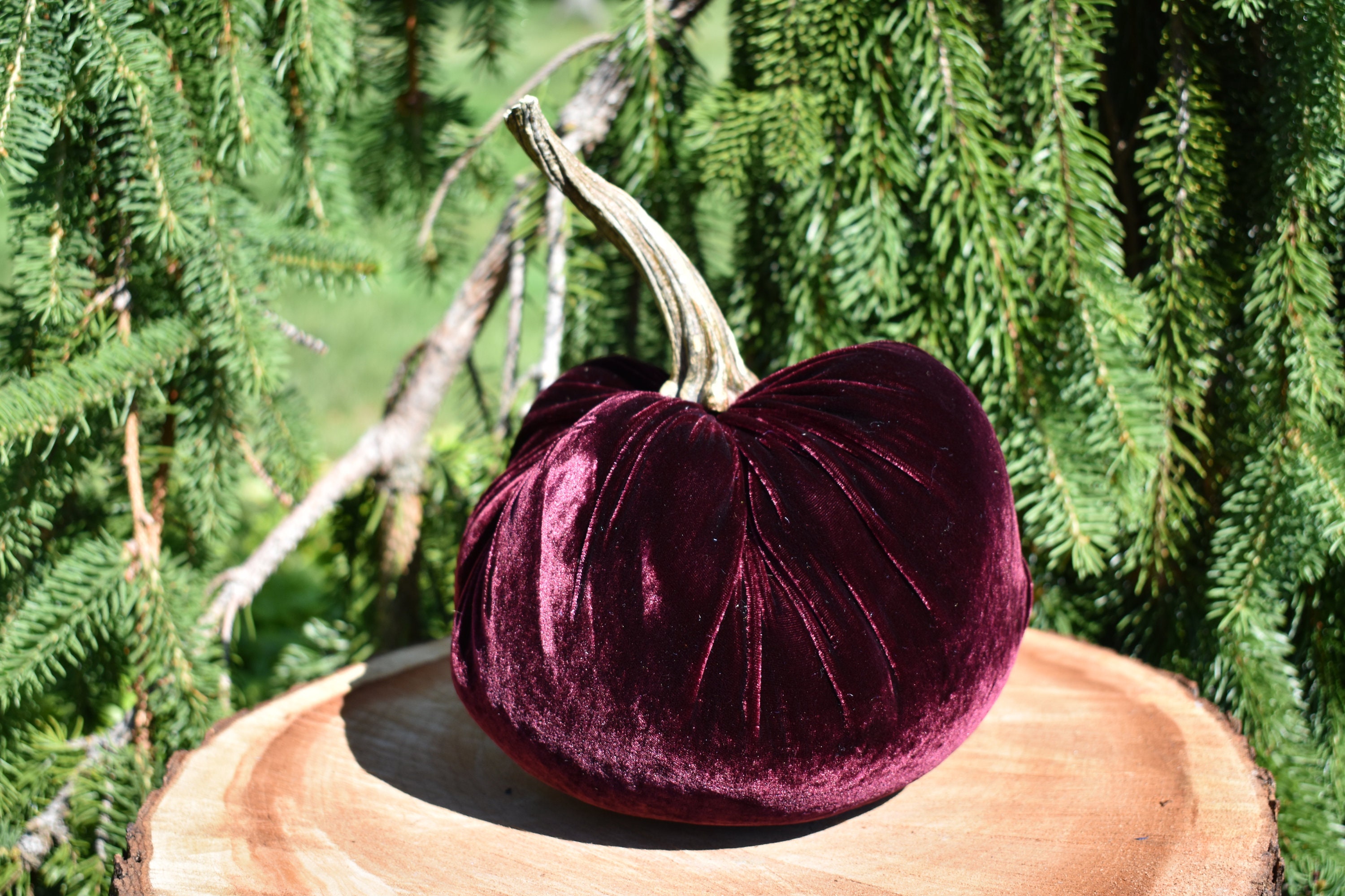 Velvet Pumpkin Jumbo Cutiekins fall decor table centerpiece | Etsy