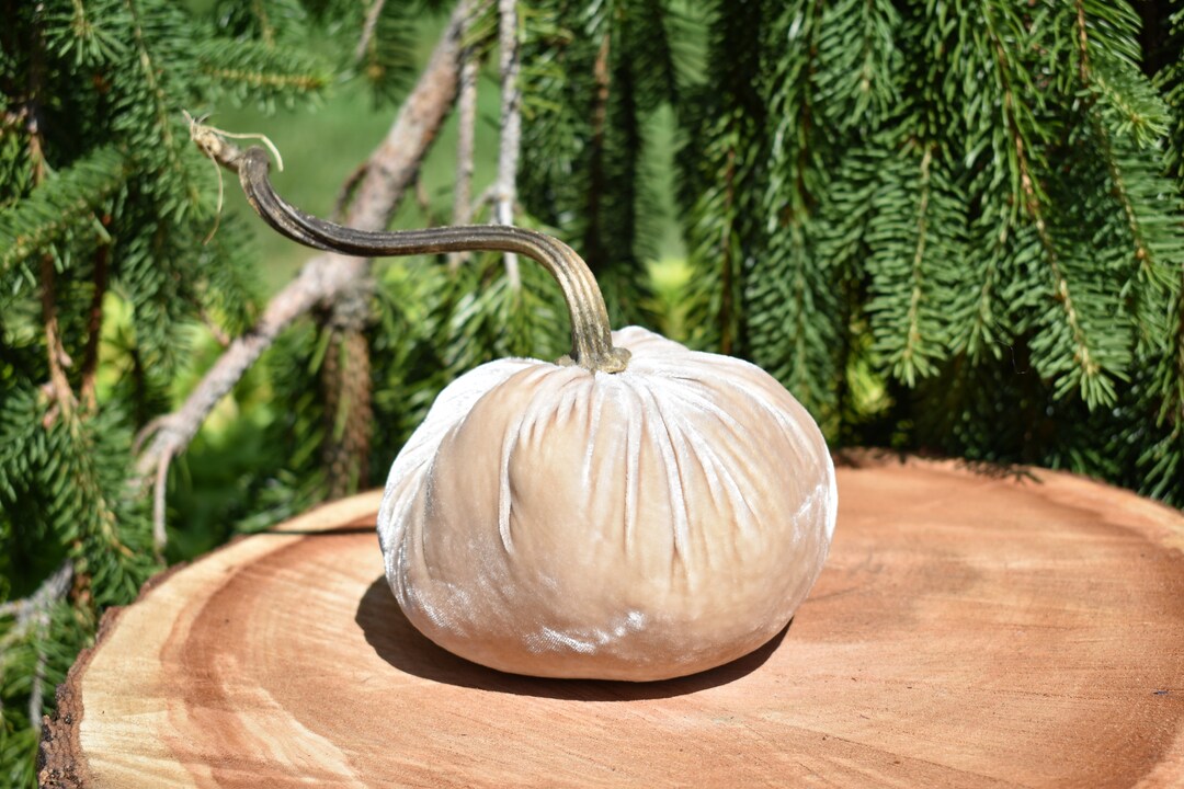 Velvet Pumpkins Medium -cutiekins, With Real Pumpkin Stem. Fall ...