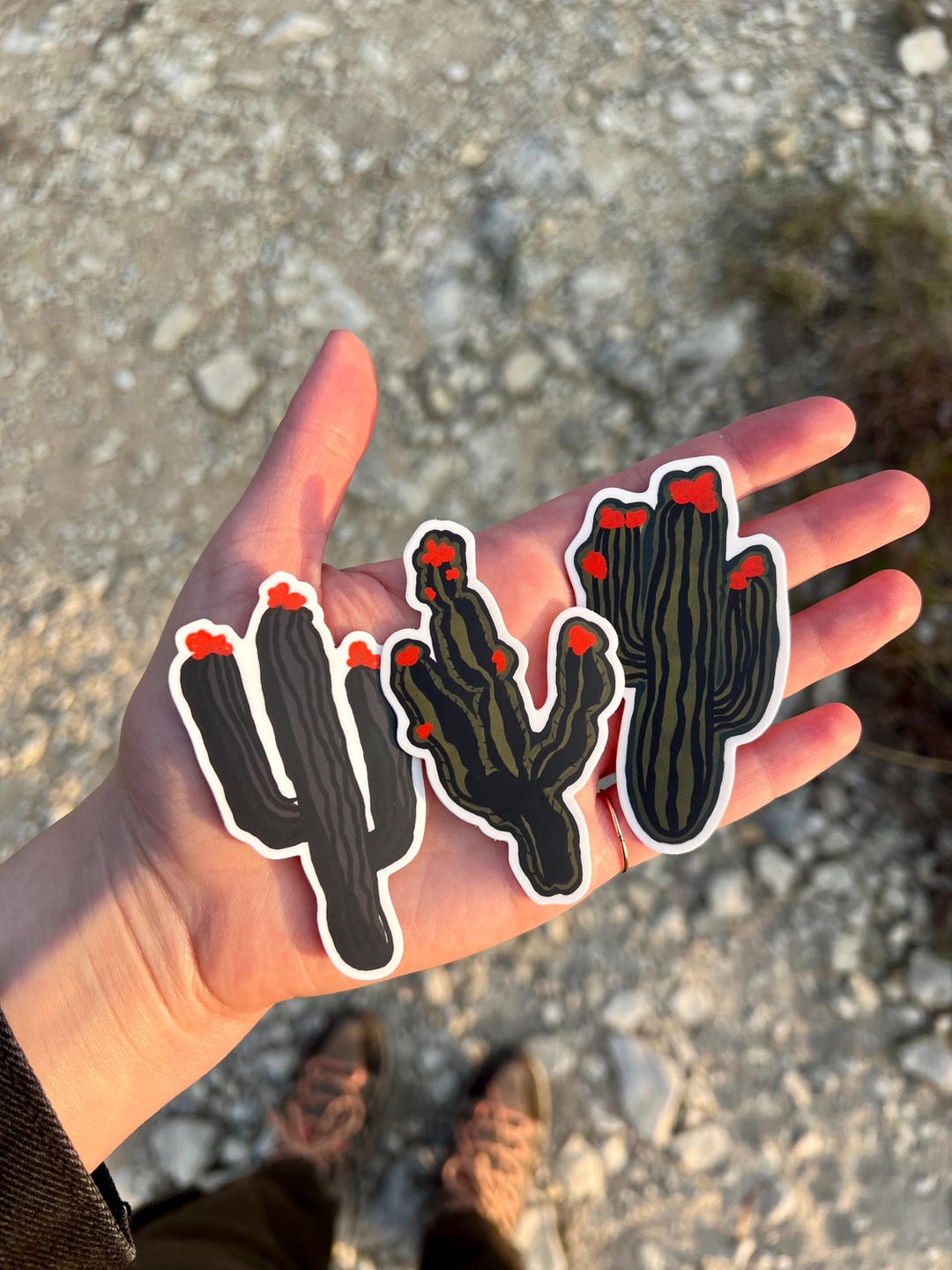 Cactus Sticker Set - Etsy
