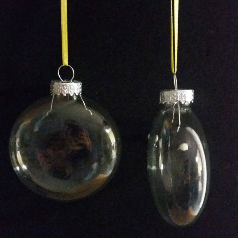 Eat Glass - S. Creek Ornament - David Rose - FREE SHIPPING - Etsy