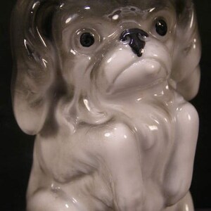 20's German Porcelain Bone China "begging" Dog Figure Statue Sculpture ...