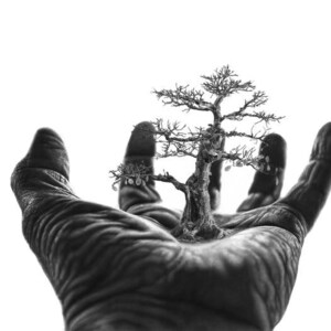 Autumn - Jono Dry Pencil Drawing Print - Etsy