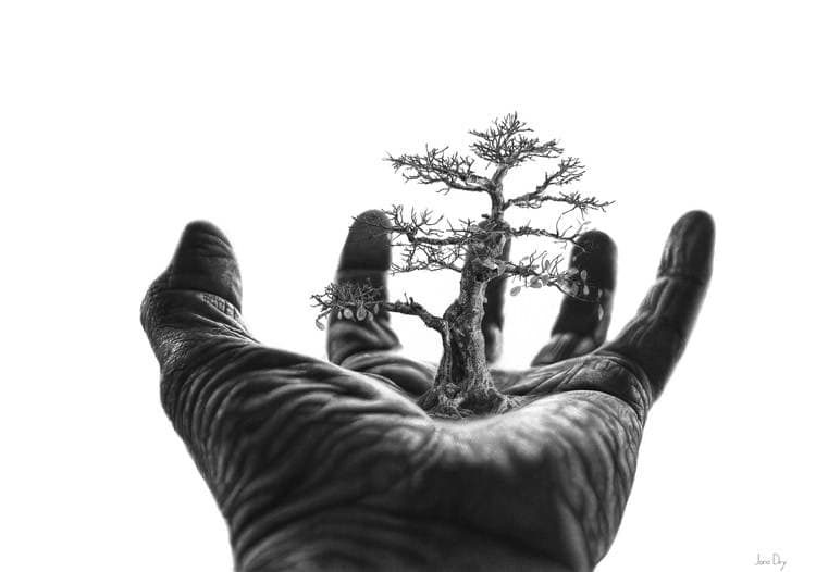 Autumn - Jono Dry Pencil Drawing Print - Etsy