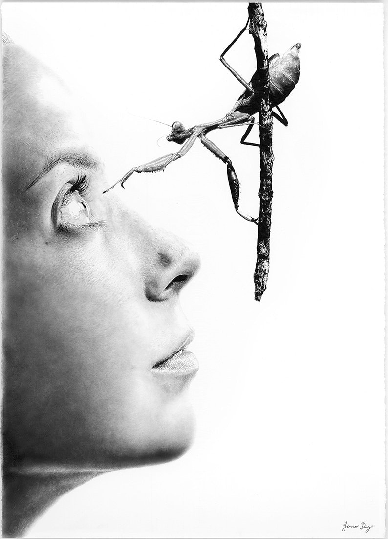 Prints — Jono Dry Art