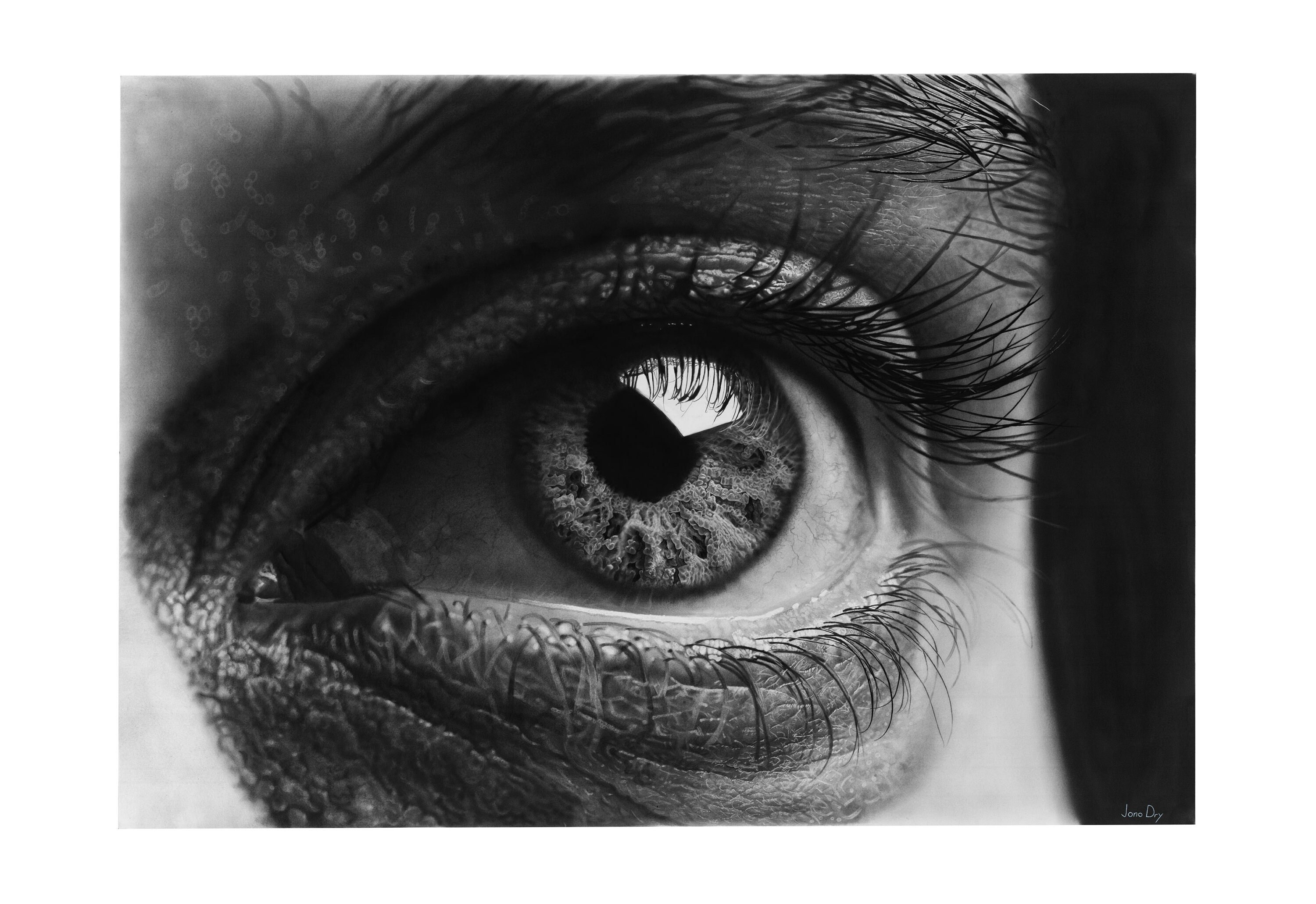 Gummy - Jono Dry Pencil Drawing Print - Etsy