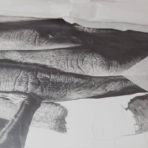 In Its Grip - Jono Dry Pencil Drawing Print - Etsy