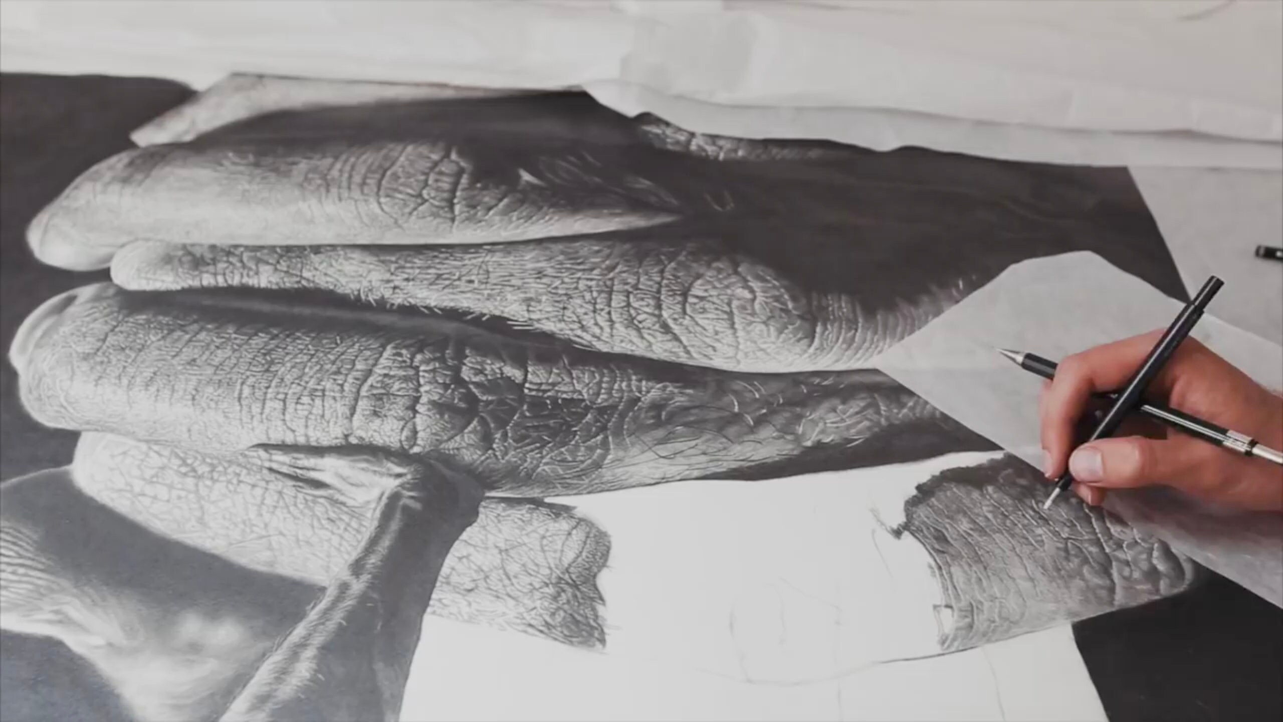 In Its Grip - Jono Dry Pencil Drawing Print - Etsy