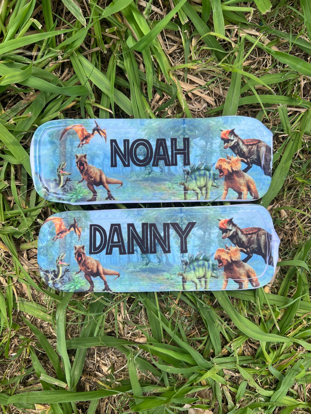 PERSONALIZED Ice Pop Holder, Dinosaur Ice Pop Holder, Popsicle Holder ...