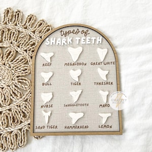 Shark Teeth Sign | No Wake Zone | Beach Theme Decor | Shark Room Sign ...