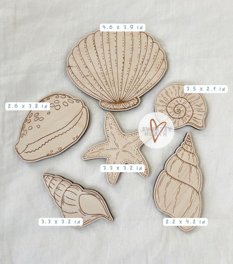 Seashell Wall Decor | Seashell Accents | Mermaid Room | Little Mermaid ...