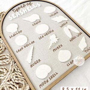 Seashell ID Sign | No Wake Zone | Beach Theme Decor | Beach Theme Sign ...