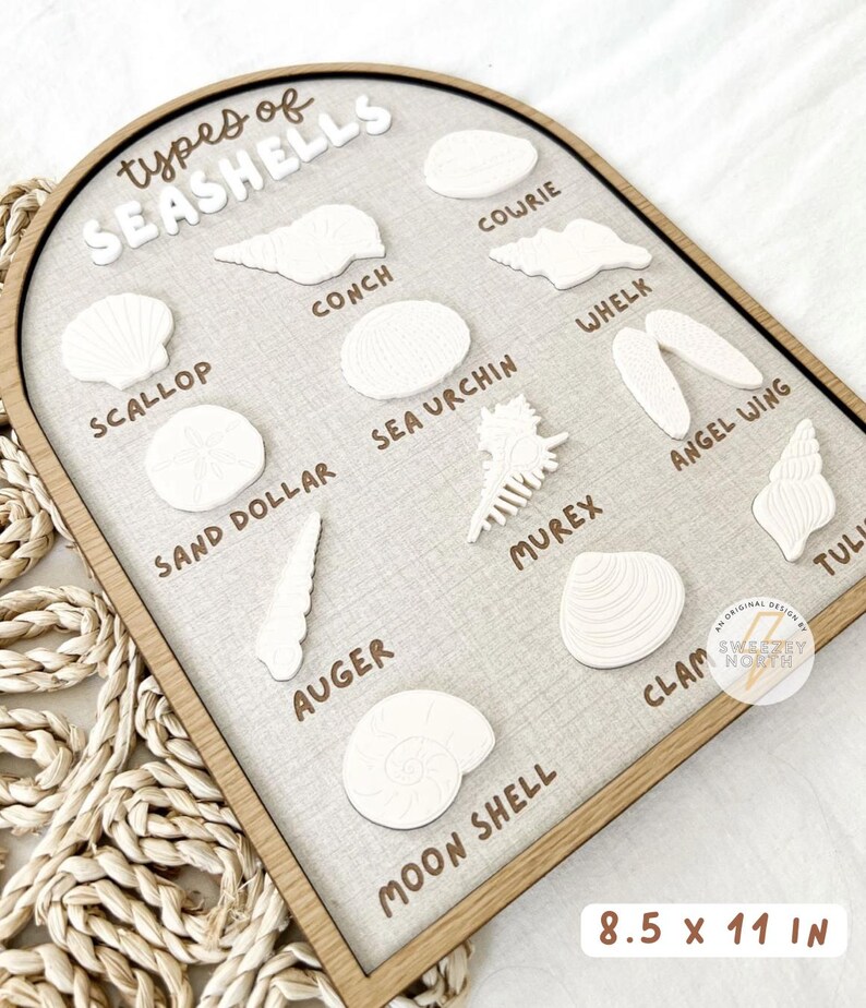 Seashell ID Sign | No Wake Zone | Beach Theme Decor | Beach Theme Sign ...