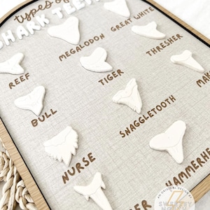 Shark Teeth Sign | No Wake Zone | Beach Theme Decor | Shark Room Sign ...