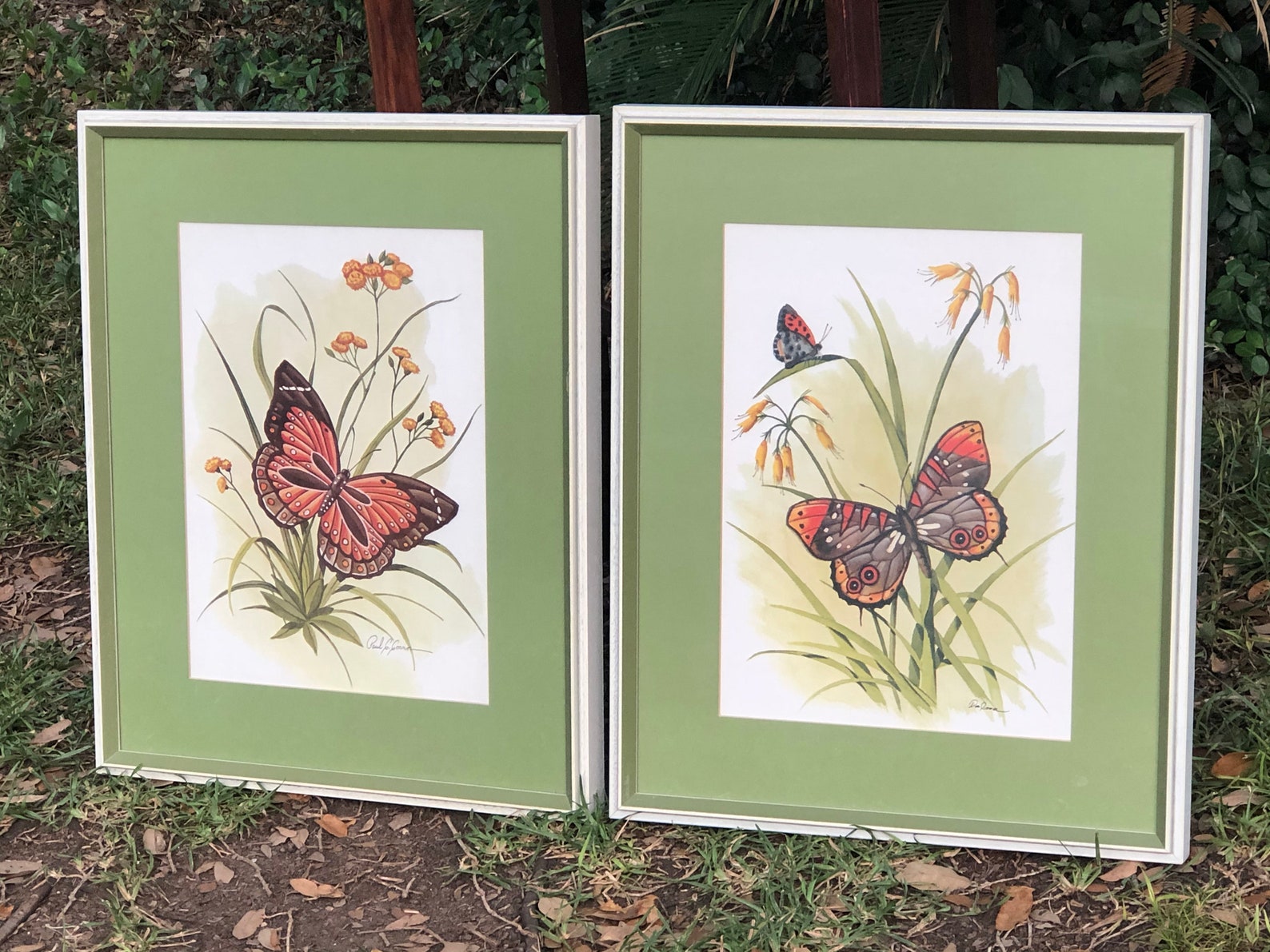 Vintage Framed Lithograph Butterfly Nature Artwork Paul C. - Etsy