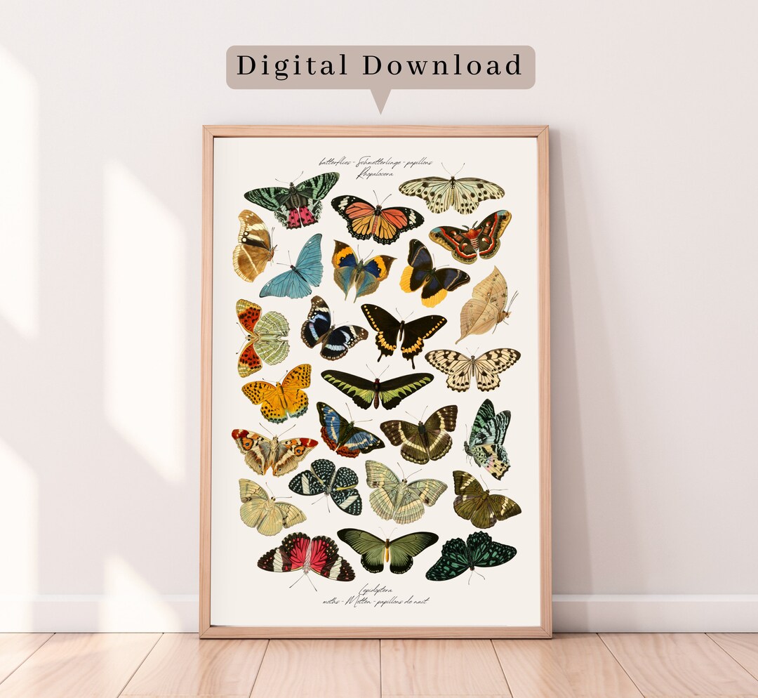 Vintage Butterflies, Cottagecore Butterflies, Digital Print, Instant ...