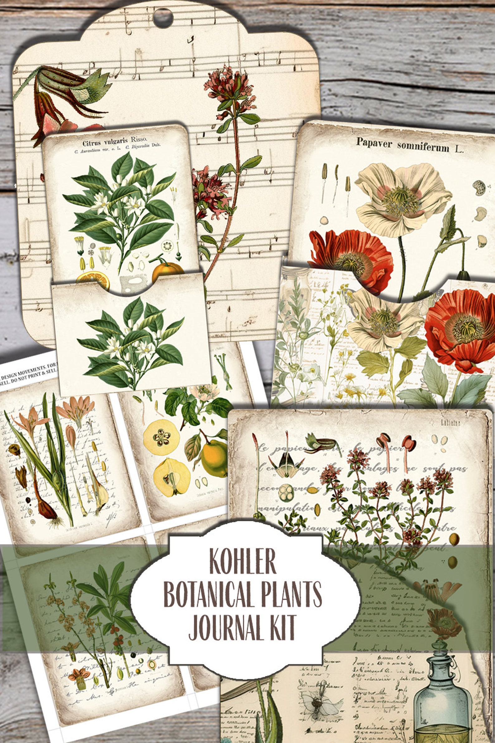 BUNDLE Kohler Botanical Junk Journal Kit, Botanical Journal, Ephemera ...